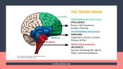 The Triune Brain: 3 Science-Based Strategies to Overcome Challenges and ...